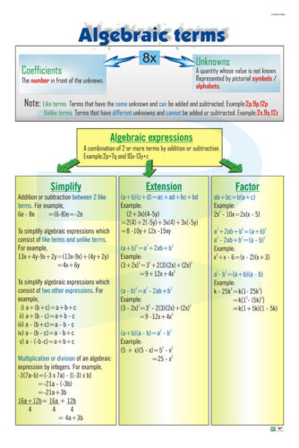 Algebraic Terms - Progressive Scientific Sdn. Bhd.