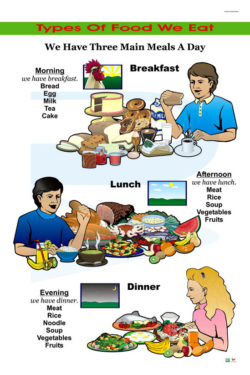 Types Of Food We Eat - Progressive Scientific Sdn. Bhd.