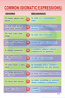 Common Idiomatic Expressions - Progressive Scientific Sdn. Bhd.