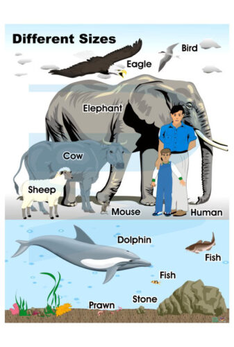 Different Sizes - Progressive Scientific Sdn. Bhd.