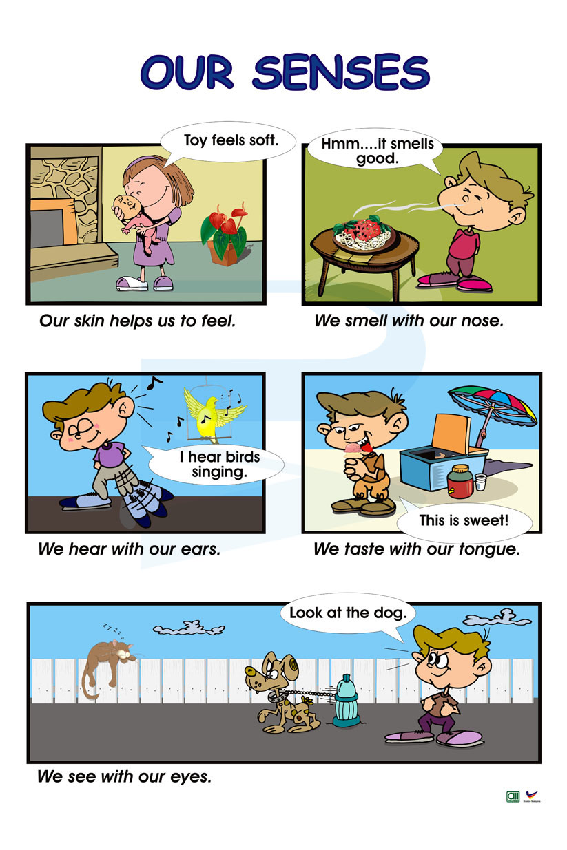 Our Senses - Progressive Scientific Sdn. Bhd.