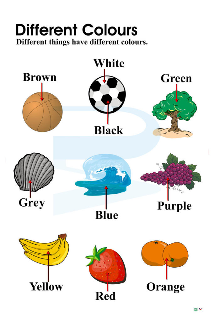 Different Colours - Progressive Scientific Sdn. Bhd.