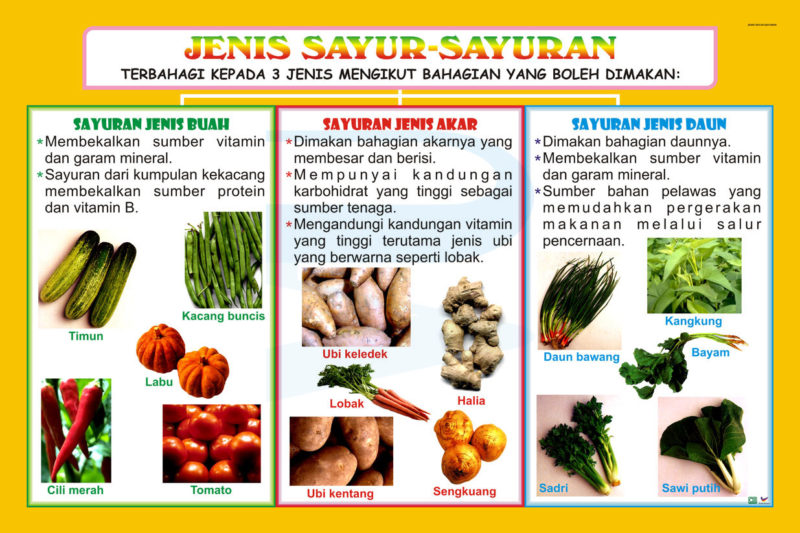 Jenis Sayur-Sayuran - Progressive Scientific Sdn. Bhd.