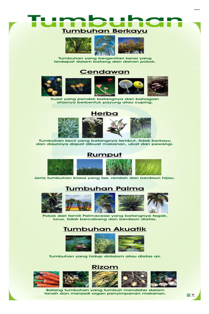 Tumbuhan - Progressive Scientific Sdn. Bhd.