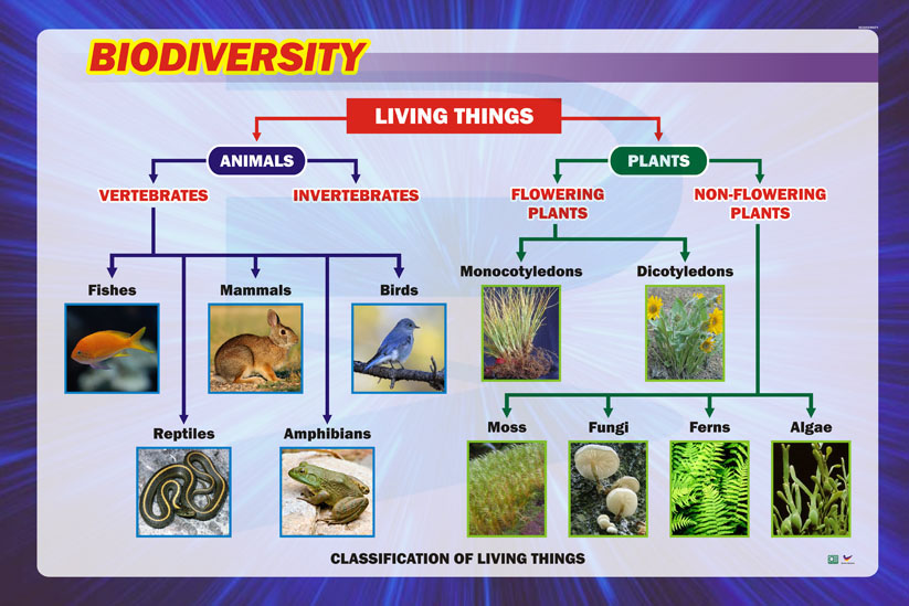 Biodiversity - Progressive Scientific Sdn. Bhd.