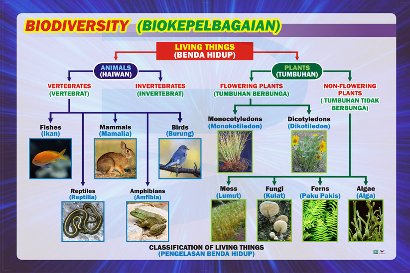 Biodiversity – BM, BI - Progressive Scientific Sdn. Bhd.