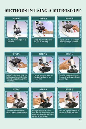 Methods In Using A Microscope - Progressive Scientific Sdn. Bhd.