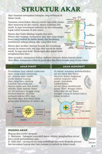 Struktur Akar - Progressive Scientific Sdn. Bhd.