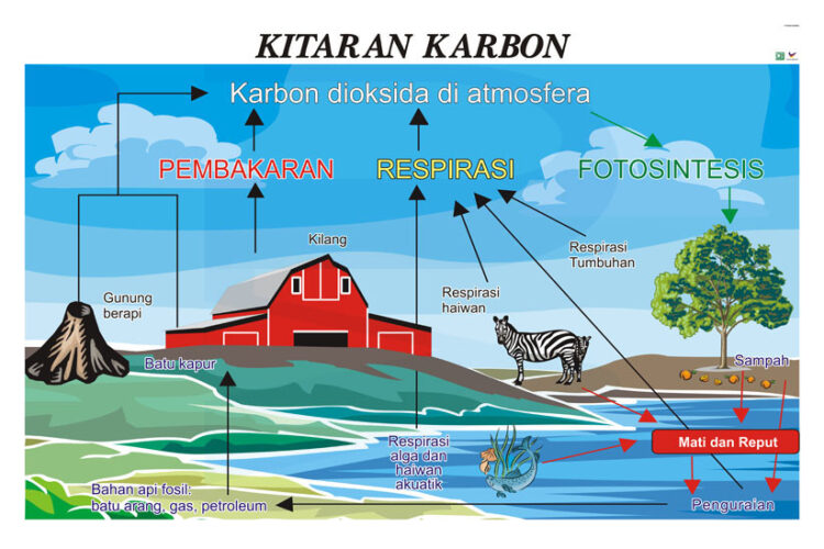 Kitaran Karbon - Progressive Scientific Sdn. Bhd.