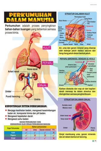 Perkumuhan Dalam Manusia - Progressive Scientific Sdn. Bhd.