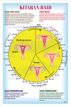 Kitaran Haid - Progressive Scientific Sdn. Bhd.