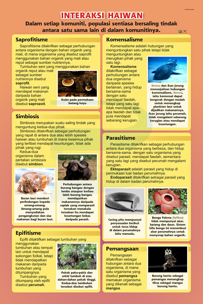 Interaksi Haiwan - Progressive Scientific Sdn. Bhd.
