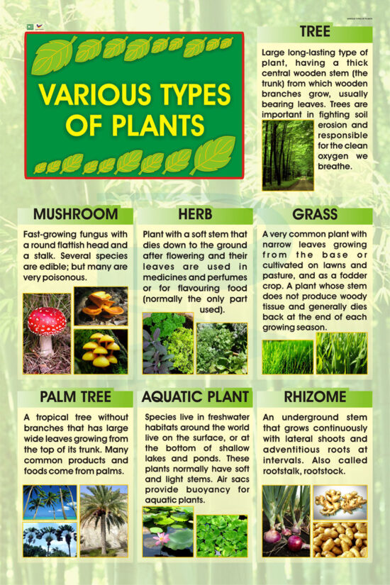 Various Types Of Plants - Progressive Scientific Sdn. Bhd.