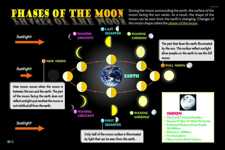 Phases Of The Moon - Progressive Scientific Sdn. Bhd.