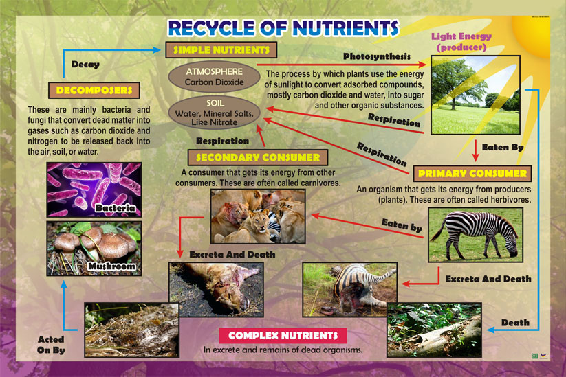 Recycle Of Nutrients - Progressive Scientific Sdn. Bhd.