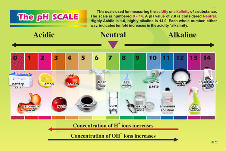 The pH Scale - Progressive Scientific Sdn. Bhd.
