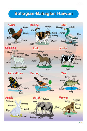 Bahagian-Bahagian Haiwan - Progressive Scientific Sdn. Bhd.