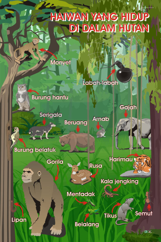 Haiwan Yang Hidup Di Dalam Hutan - Progressive Scientific Sdn. Bhd.