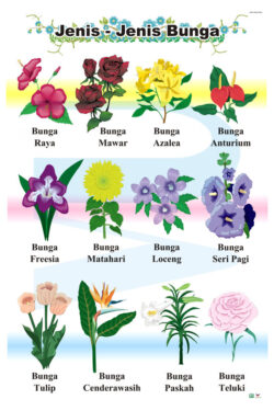 Jenis-Jenis Bunga - Progressive Scientific Sdn. Bhd.