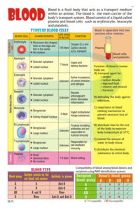 Blood - Progressive Scientific Sdn. Bhd.