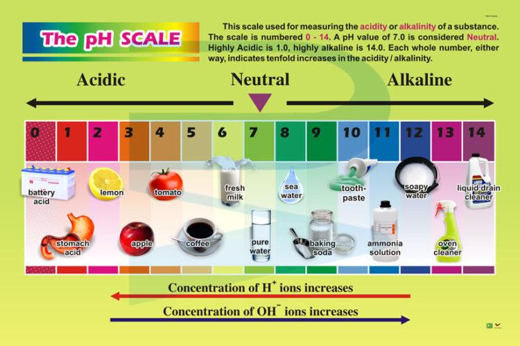 The pH Scale - Progressive Scientific Sdn. Bhd.