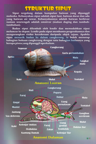 Struktur Siput - Progressive Scientific Sdn. Bhd.