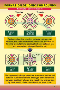 Formation Of Ionic Compounds - Progressive Scientific Sdn. Bhd.