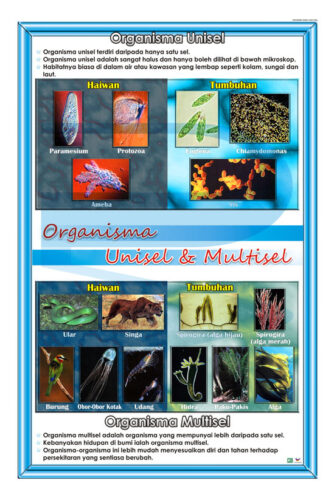 Organisma Unisel & Multisel - Progressive Scientific Sdn. Bhd.