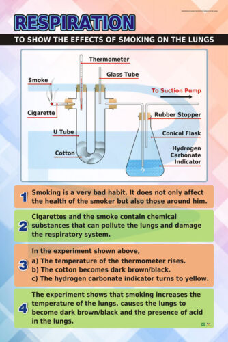 Respiration (To Show The Effects Of Smoking On The Lungs) - Progressive ...