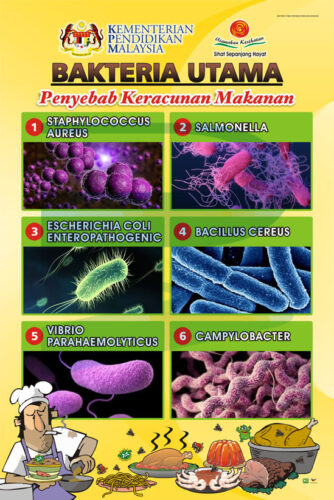 Bakteria Utama Penyebab Keracunan Makanan - Progressive Scientific Sdn ...