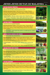 Jenis-Jenis Hutan Di Malaysia - Progressive Scientific Sdn. Bhd.