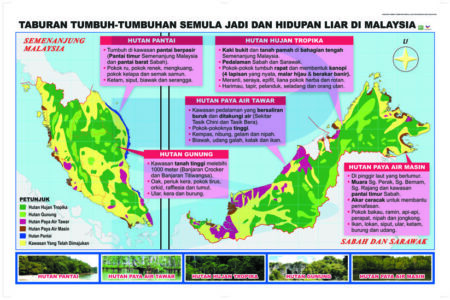 Taburan Tumbuh-Tumbuhan Semula Jadi Dan Hidupan Liar Di Malaysia ...