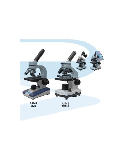 Microscope Monocular MM1 series (400X, 1000X), All-LABs - Progressive ...